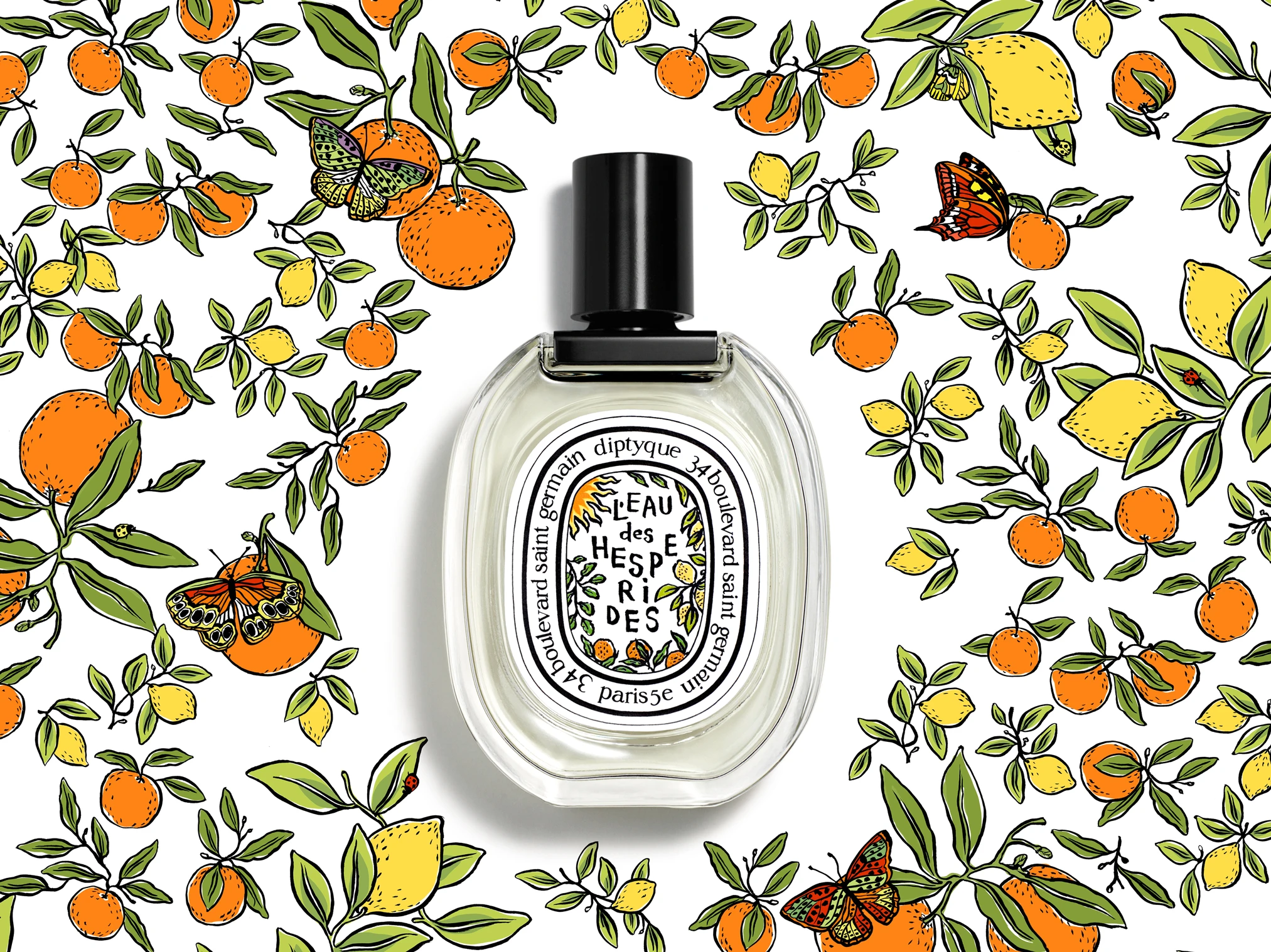 Ilio | Diptyque Paris