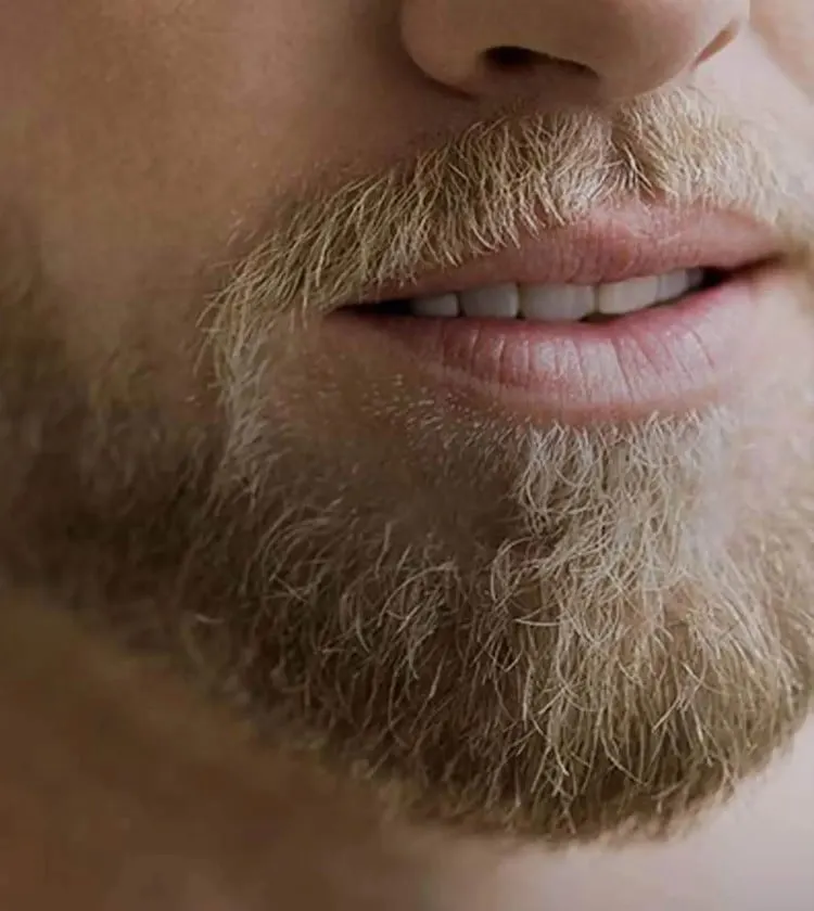Top 15 des styles de barbes homme | Gillette.fr