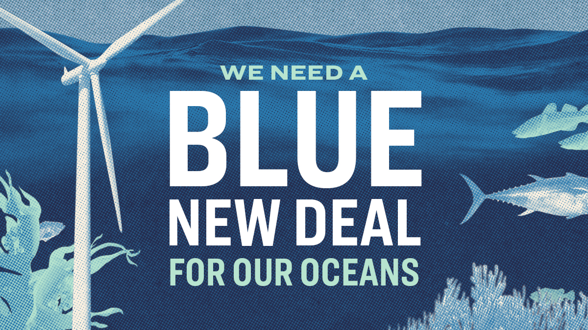We Need A Blue New Deal For Our Oceans | Elizabeth Warren