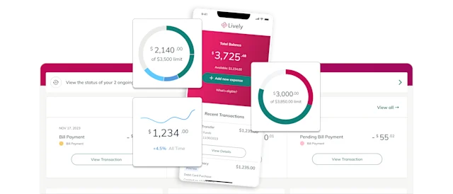 HSA Partnership Solution for Health Plans | Lively