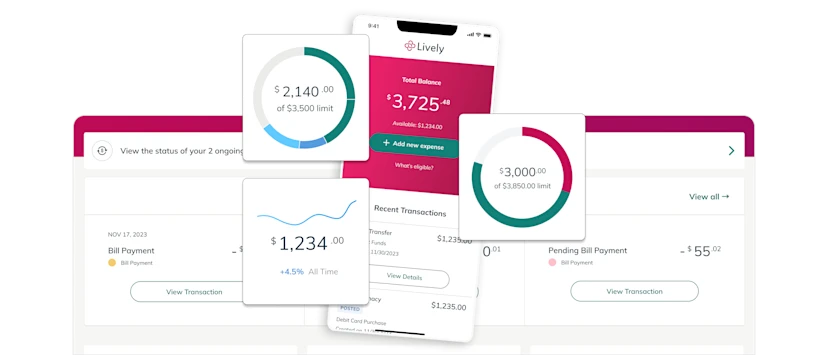 HSA Partnership Solution for Health Plans | Lively