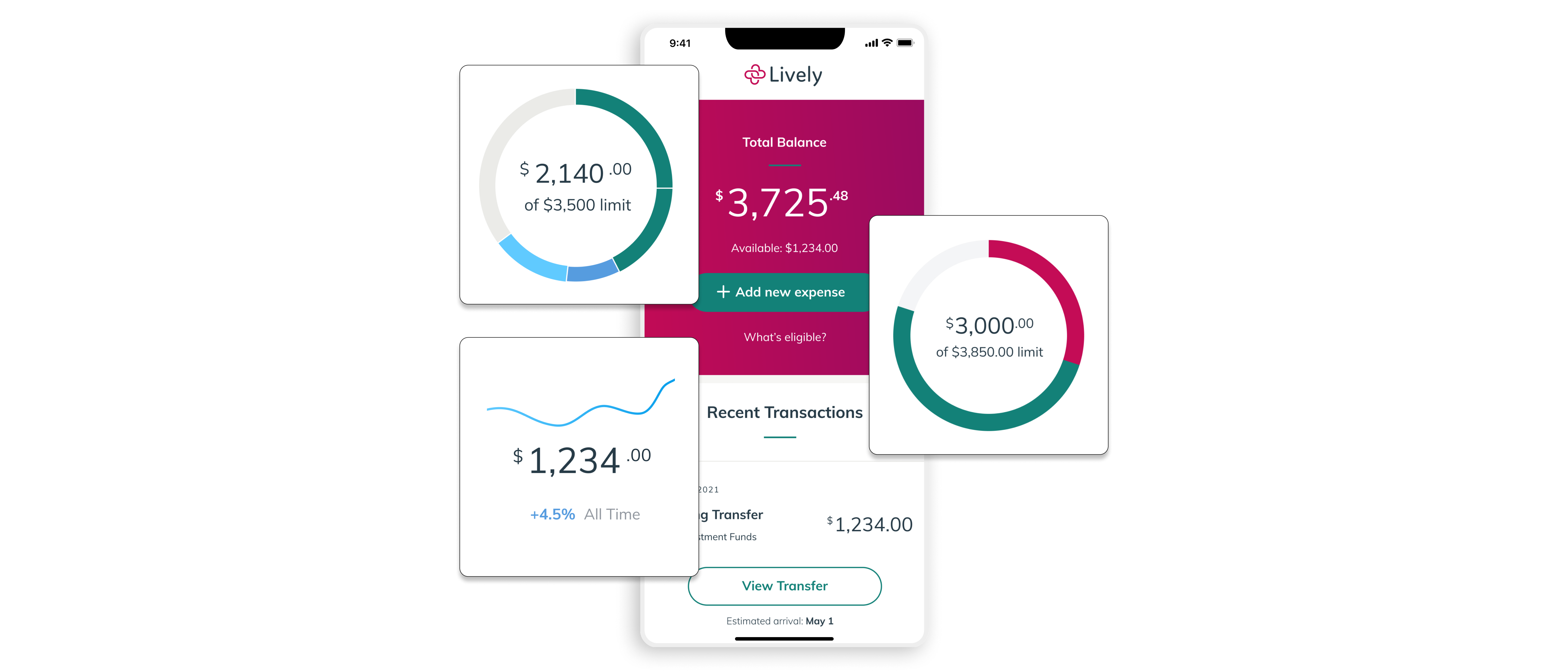 HSA partnership solutions for financial institutions | Lively