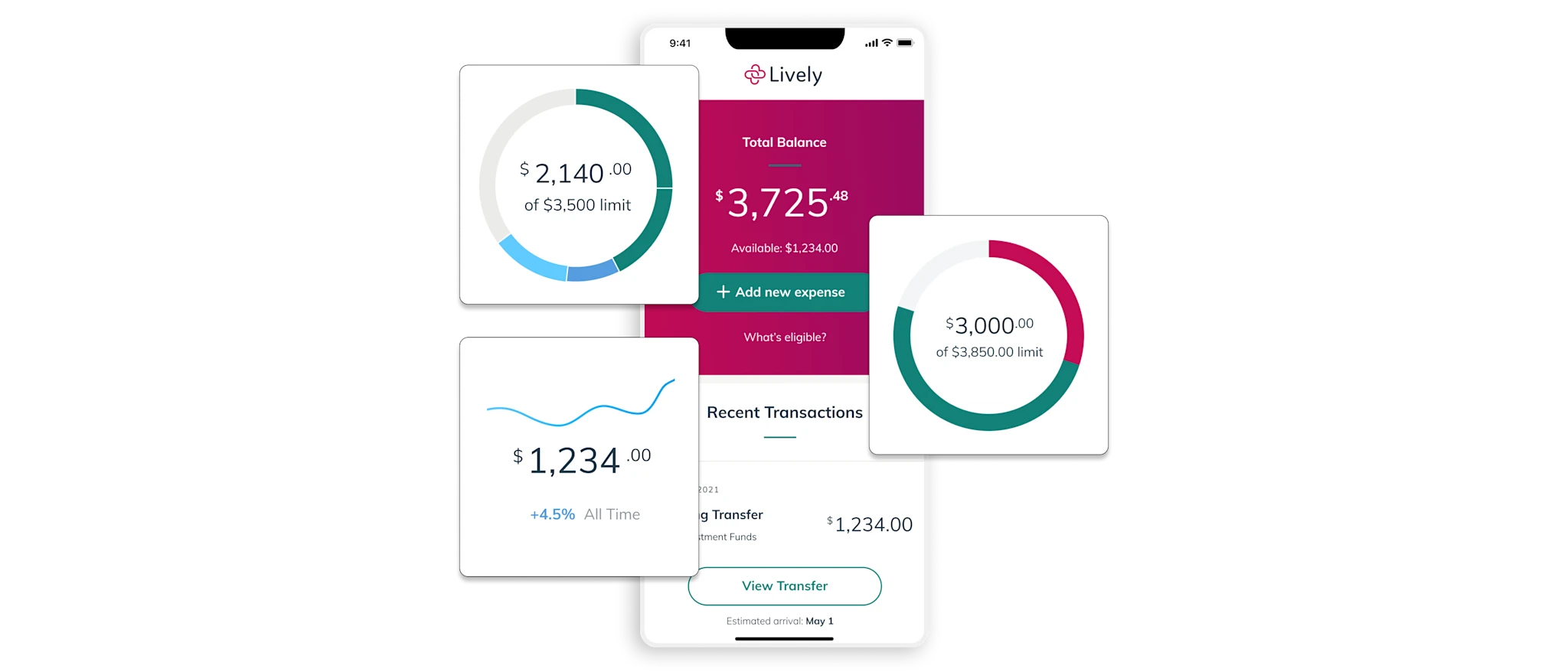 HSA partnership solutions for financial institutions | Lively
