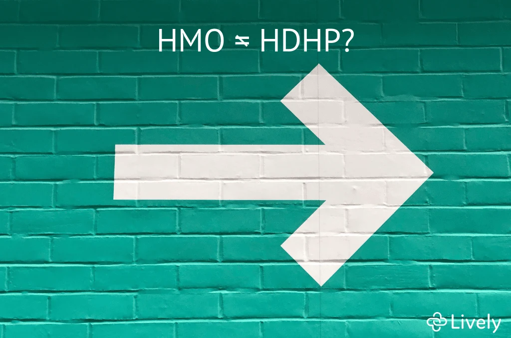 HMO and HDHP Explained | Lively