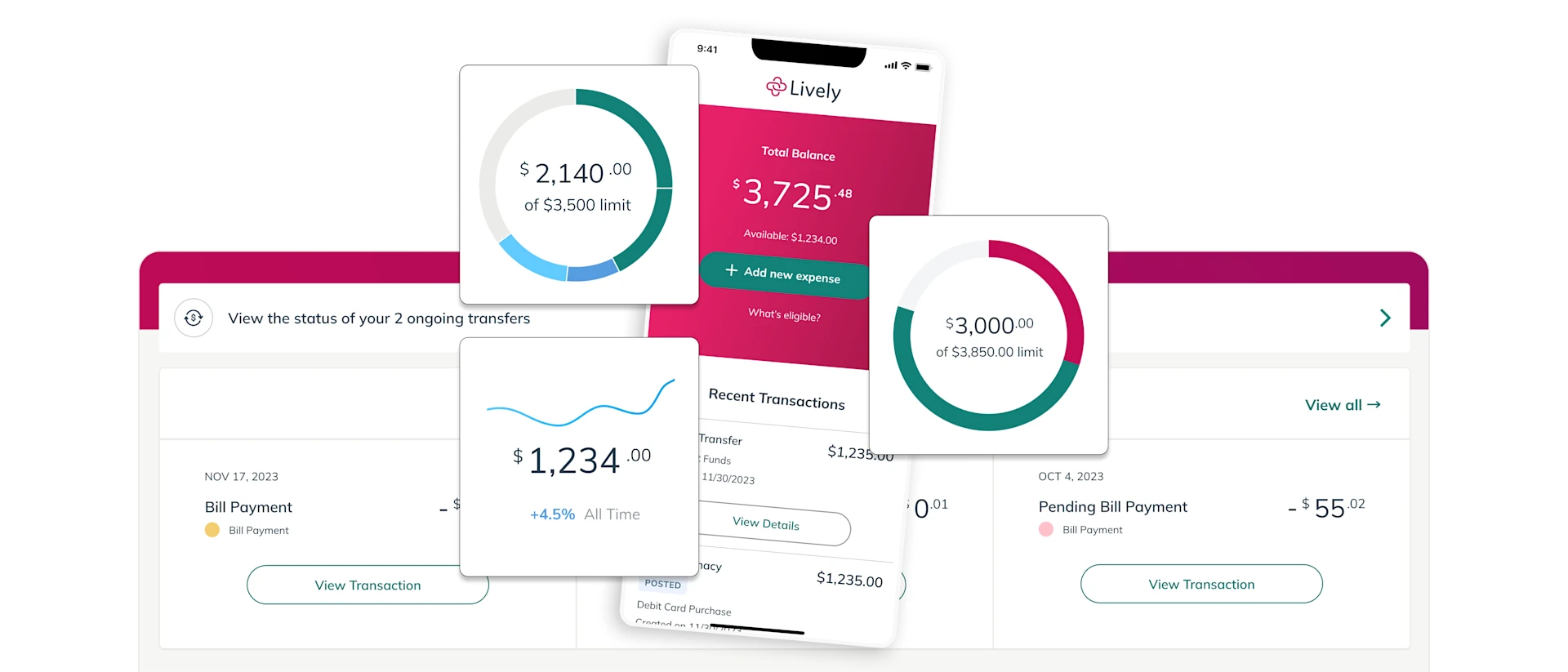 Best Individual & Family HSA Account | Lively