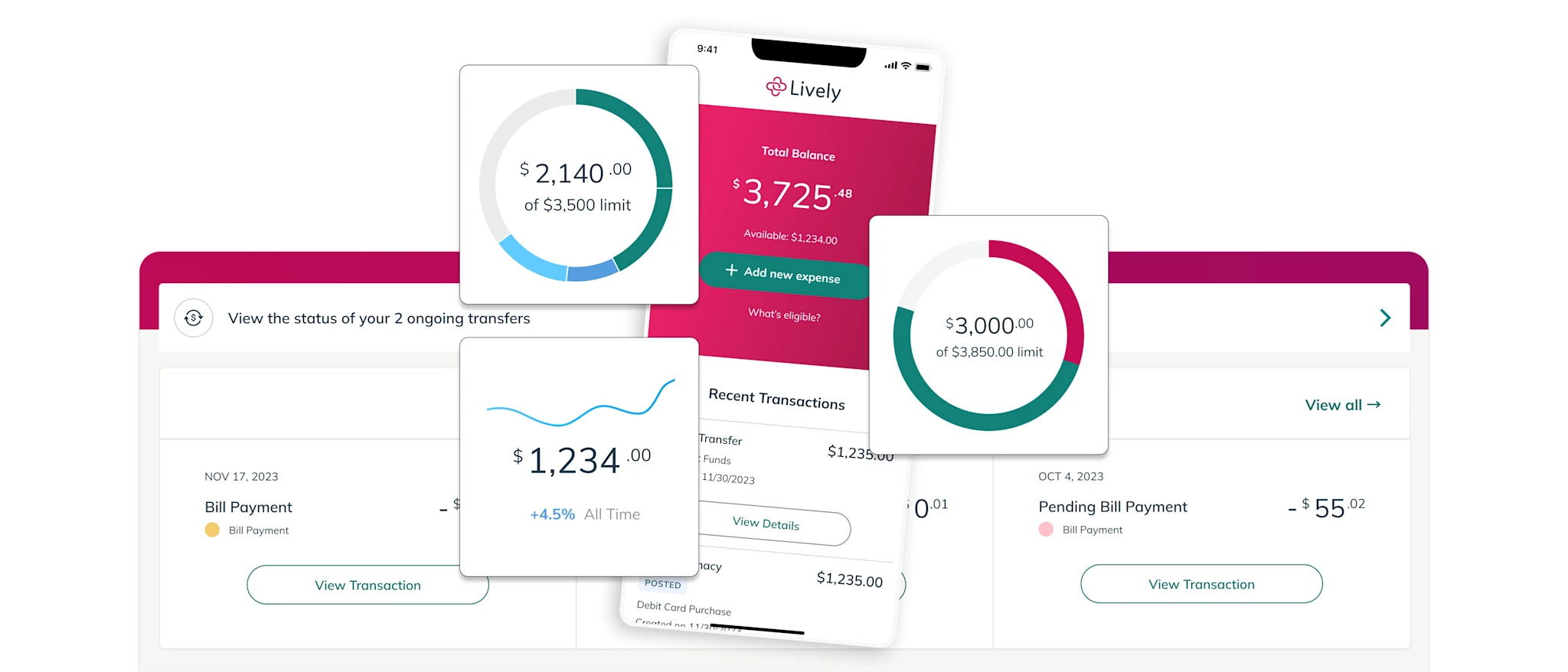 Best Individual & Family HSA Account | Lively