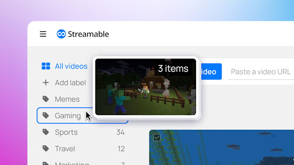 Introducing video labels
