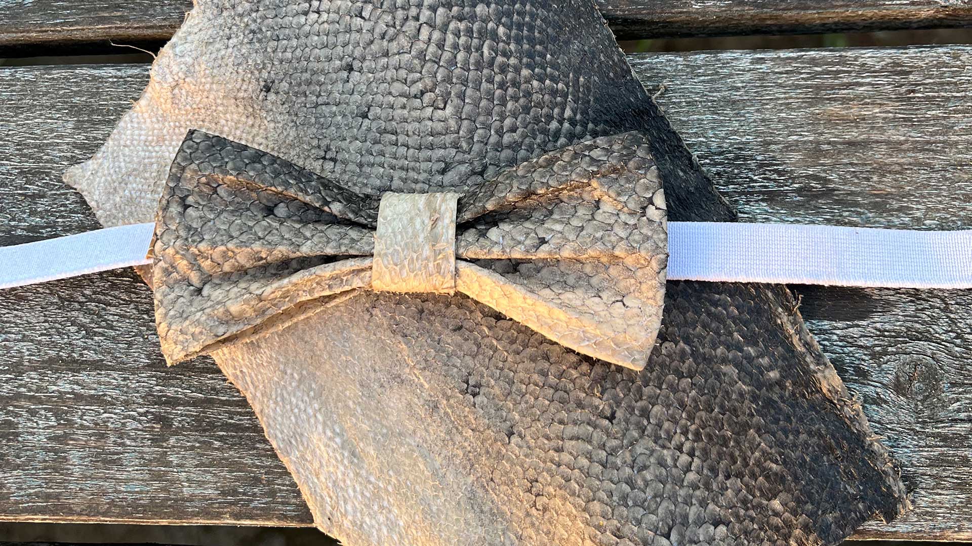 Så garvar du fiskskinn