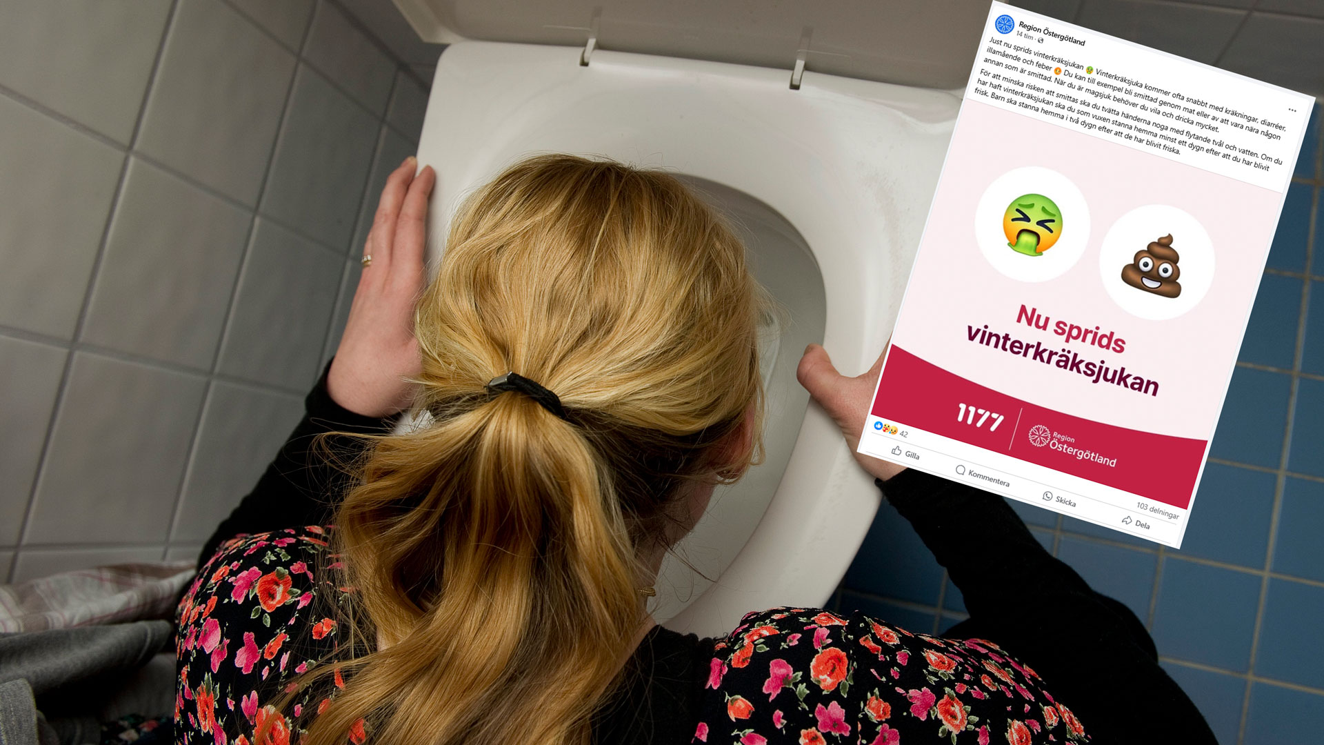 Rekordmånga fick salmonella i Sverige – trendbrott