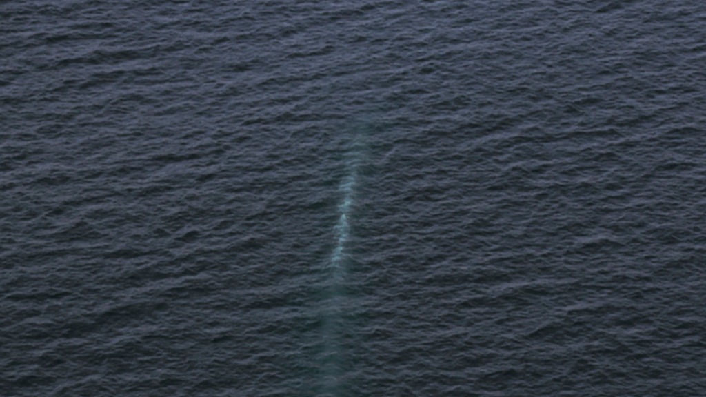 Nordkorea hävdar vapentest under vatten