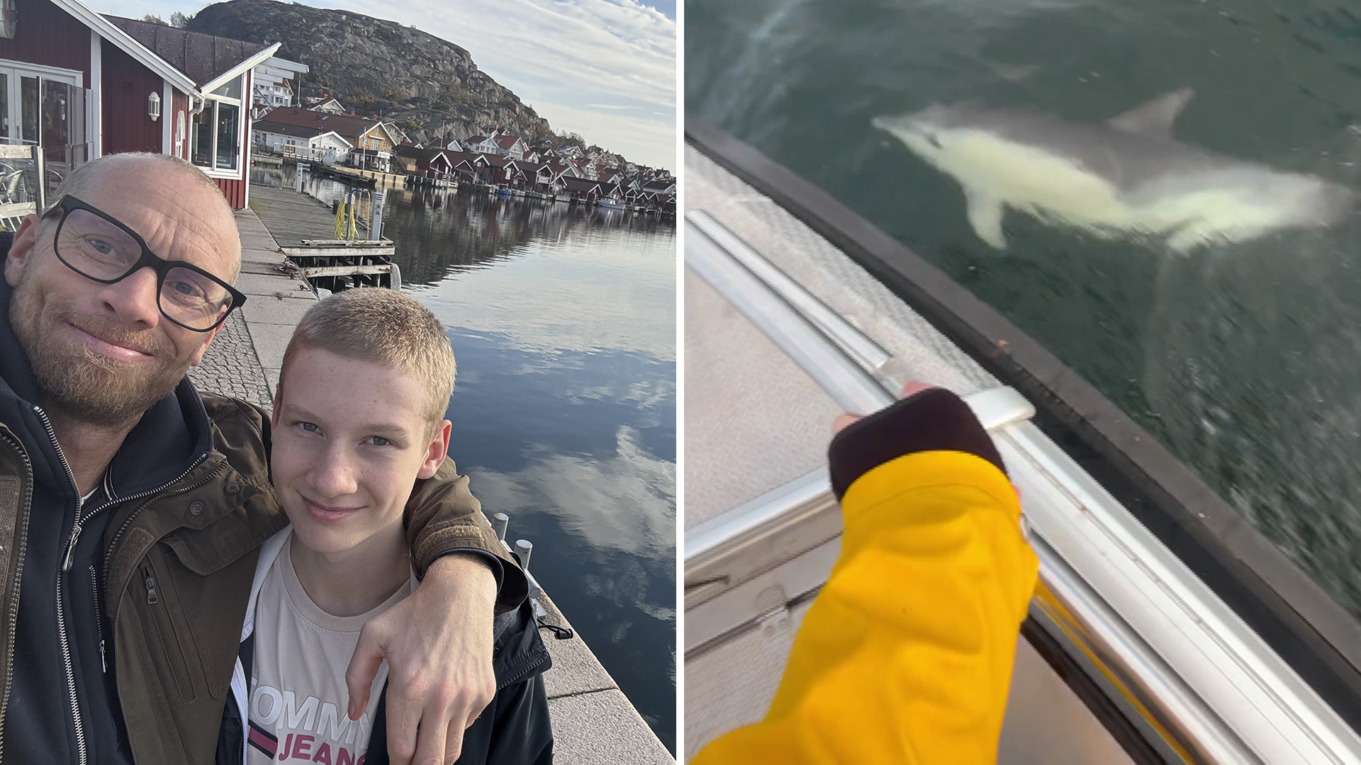 Mathias mötte lekfull delfin på båtturen – ”En ynnest”