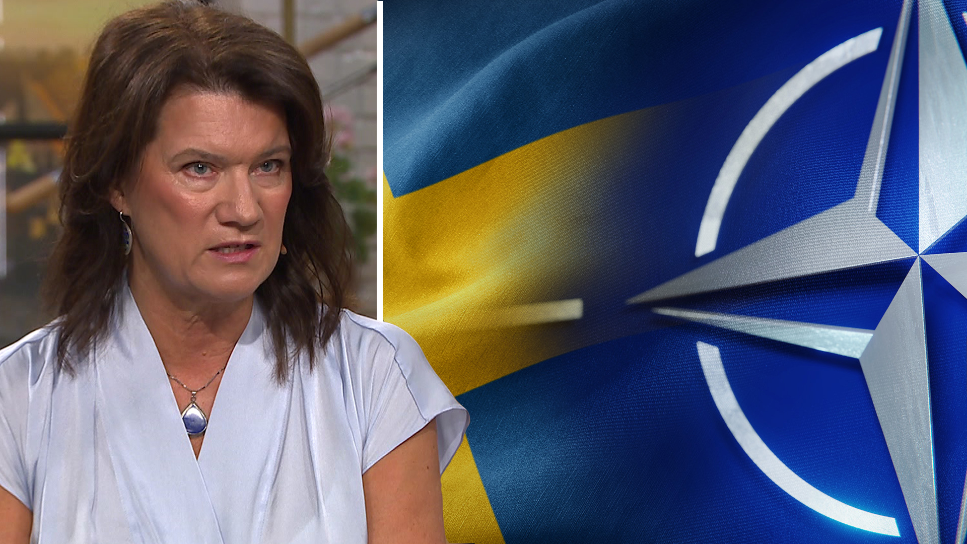 Linde om Natofrågan: “Vi har fullföljt våra åtaganden“