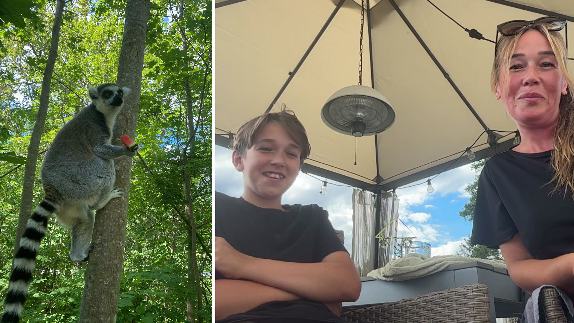 Anna och Herman stötte på två lemurer i skogen