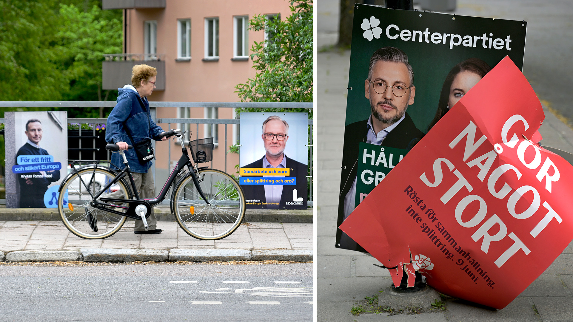 Här är svenskarnas viktigaste frågor i EU-valet