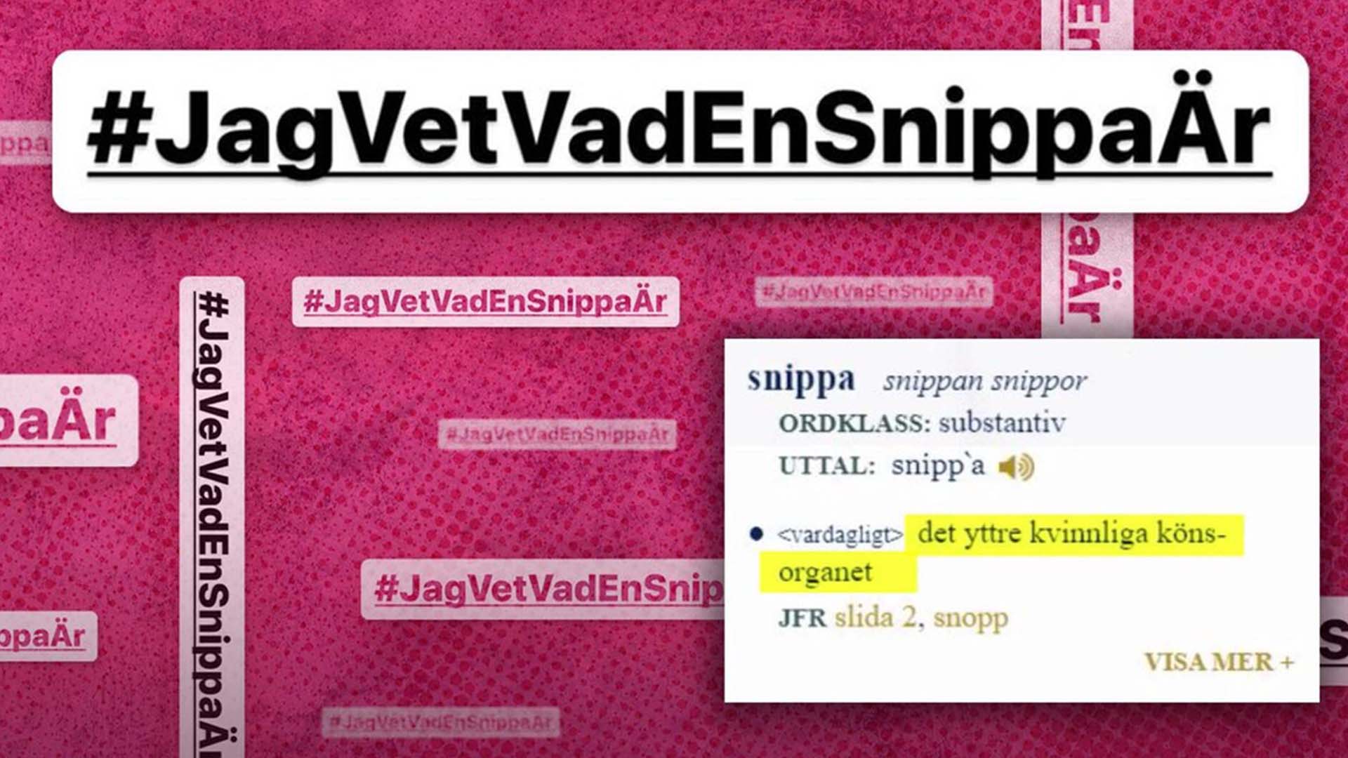 Så hamnade ordet "snippa" i hetluften