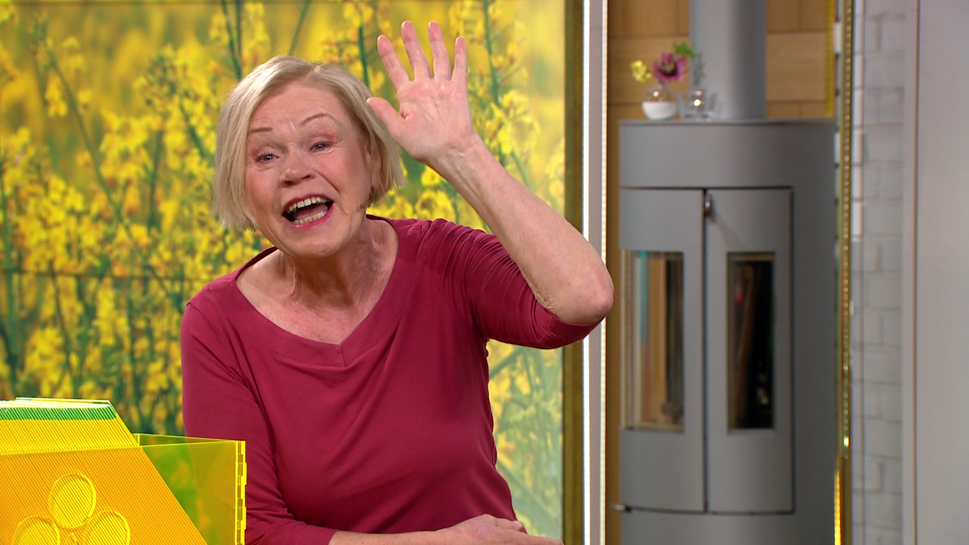 Trissnerv i rutan – Birgit hälsade hem till barnbarnen