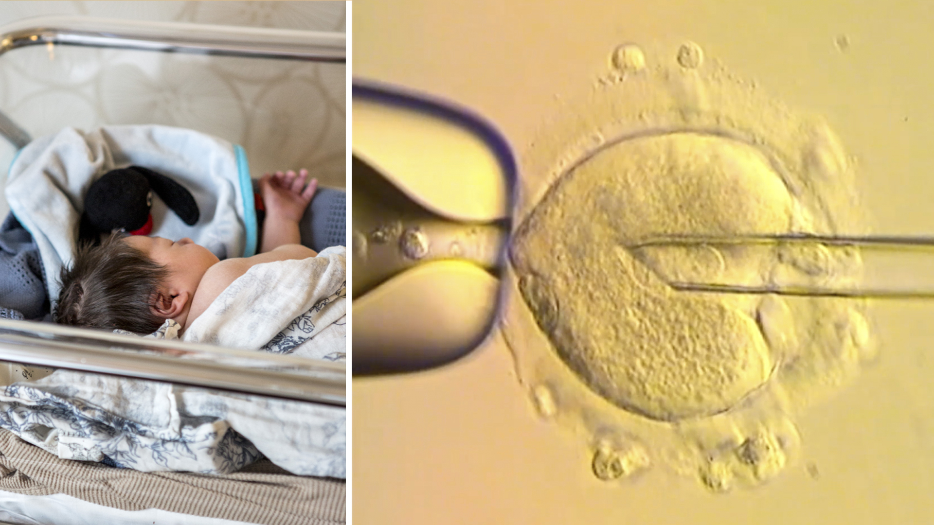 DNA från tre föräldrar ska förhindra sjukdomar hos barn