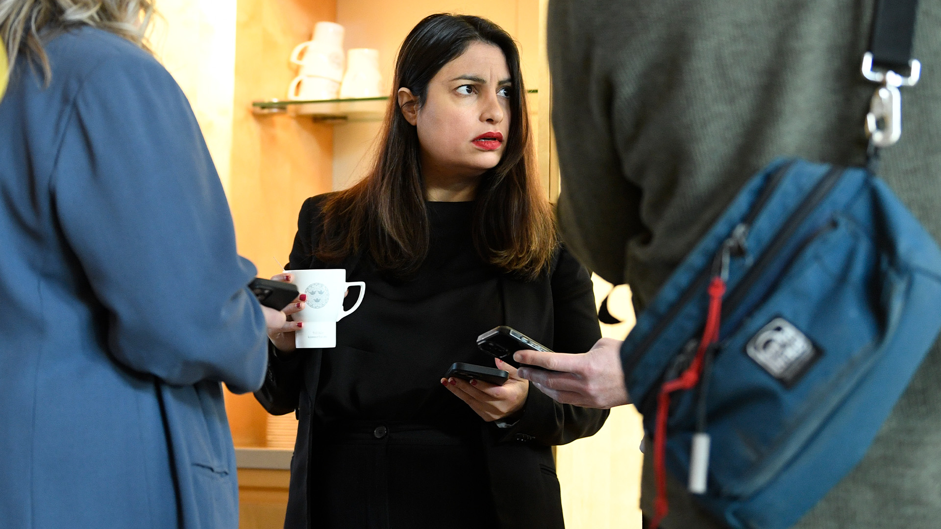 Dadgostar duckar - efter anklagelser om antisemitism i v