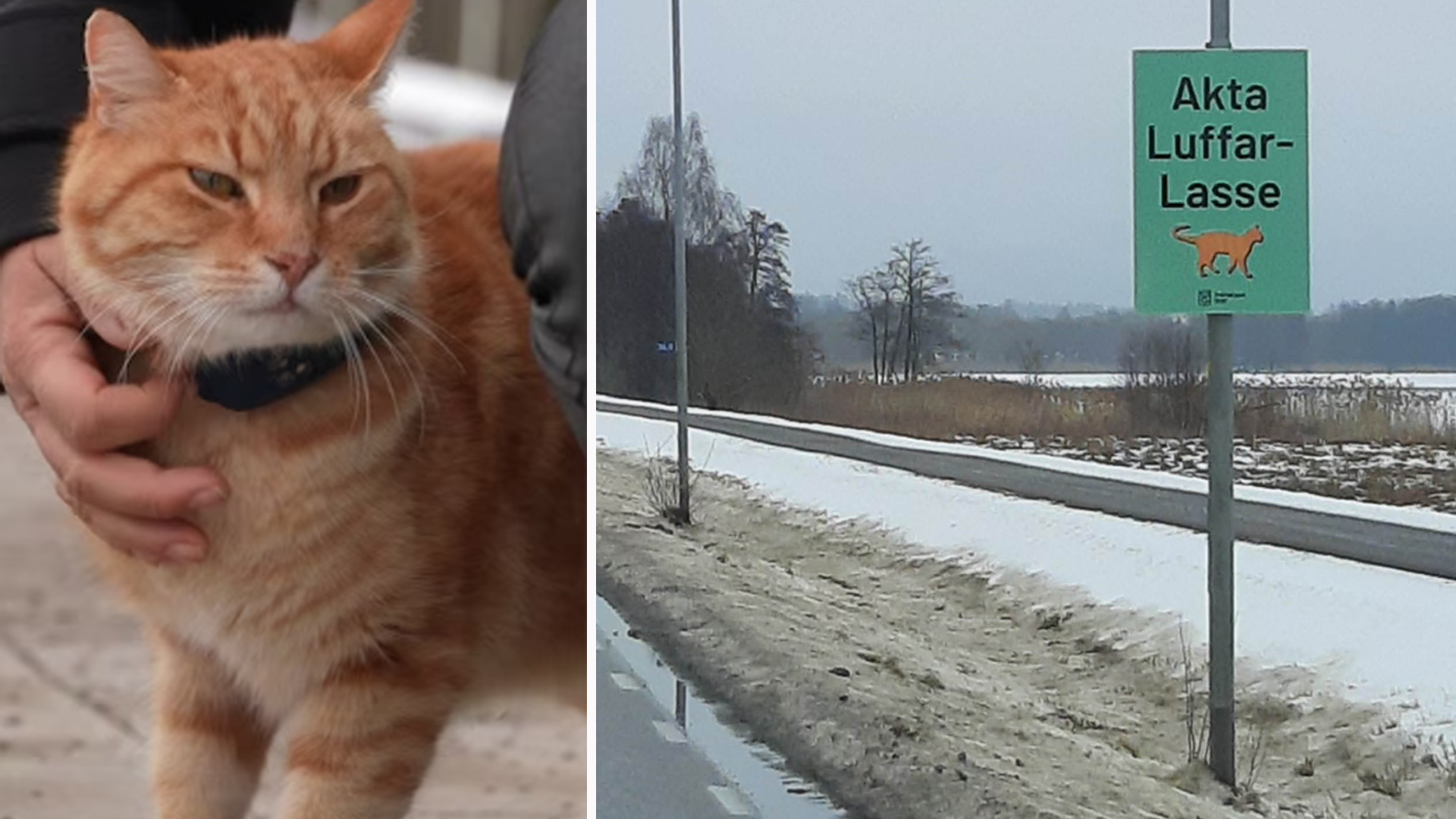 Katten Luffar-Lasse får vägskyltar i Trollhättan