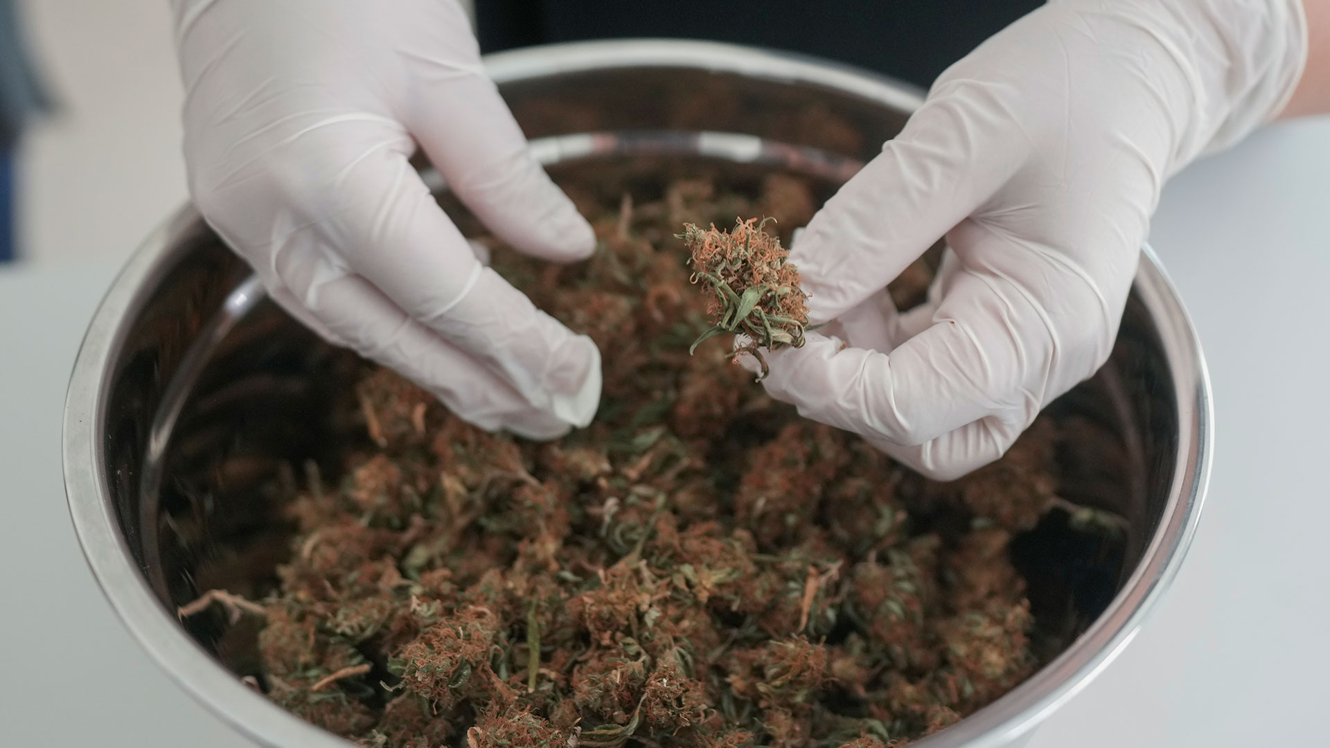Stor studie slår fast: Cannabis bra för cancersjuka