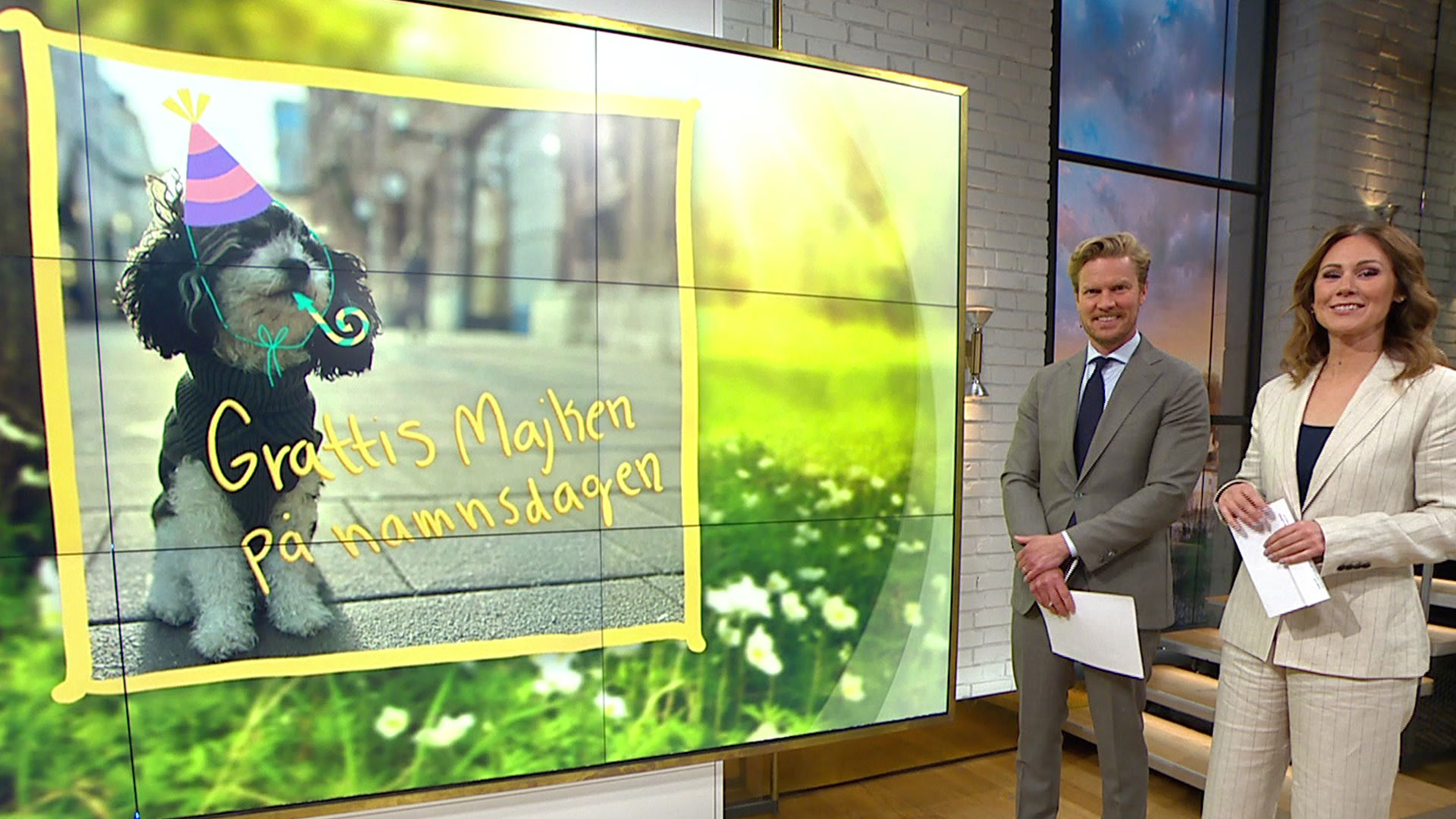 Sötchock i studion när Majken har namnsdag