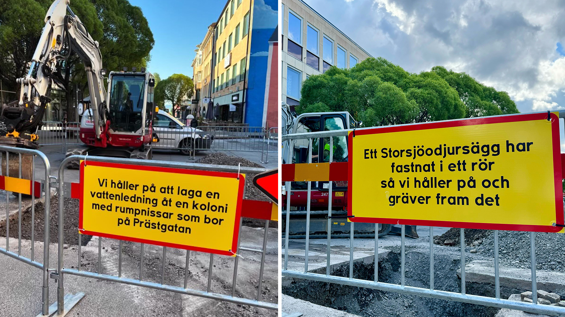 Skyltar på bygge förvirrar med odjursägg och helig graal