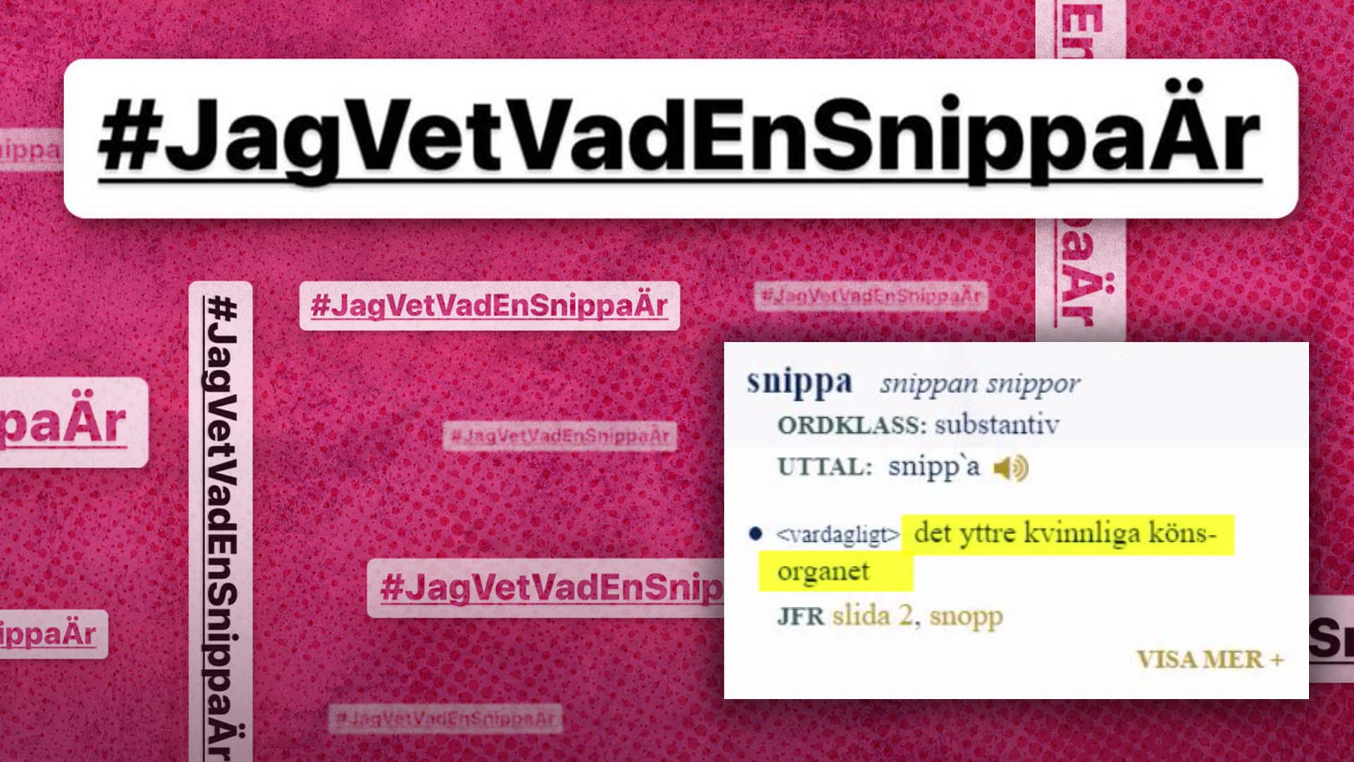 Snippadomen tas upp i Högsta domstolen