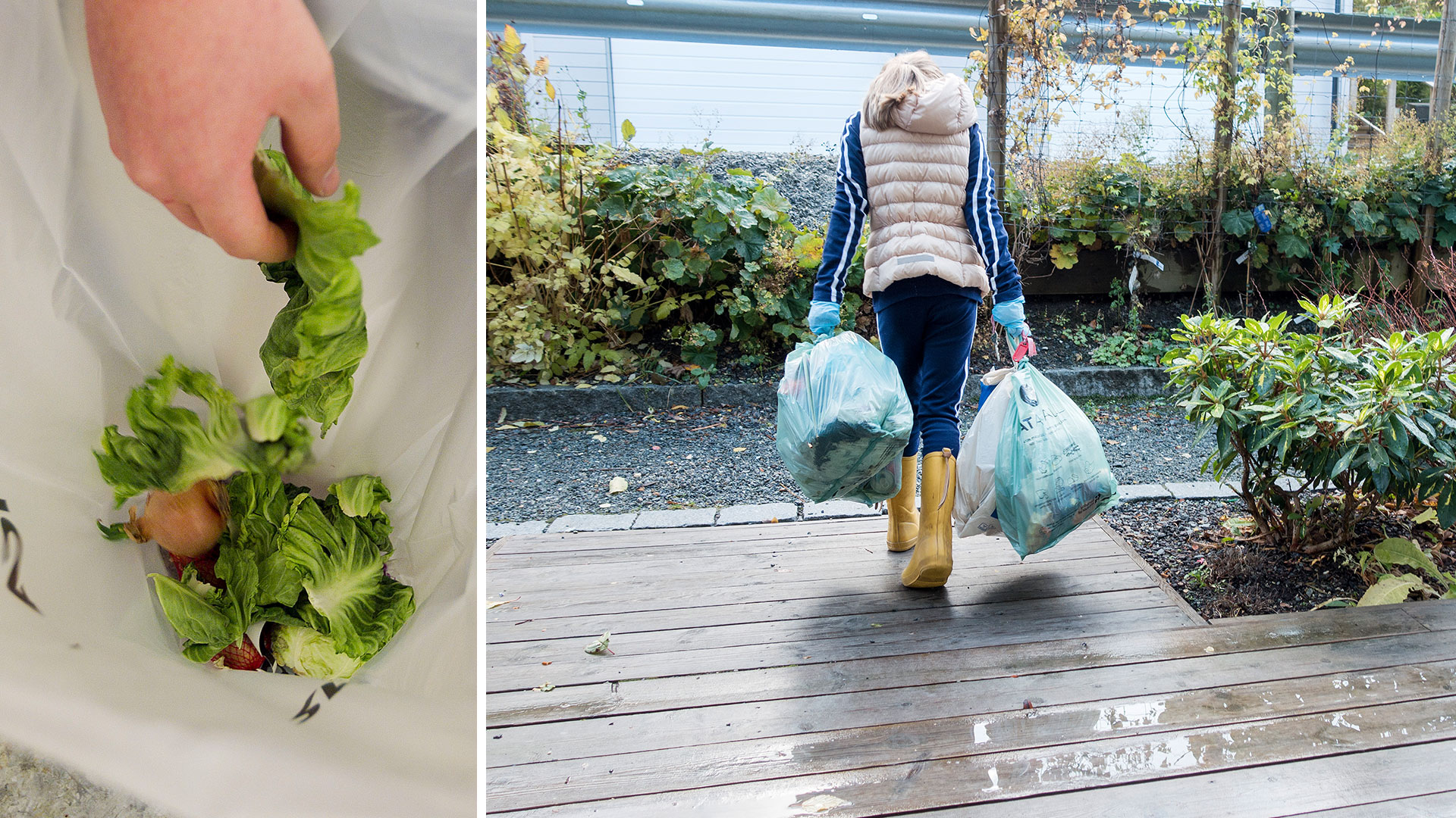 Här är maten som svenskarna slänger i soporna