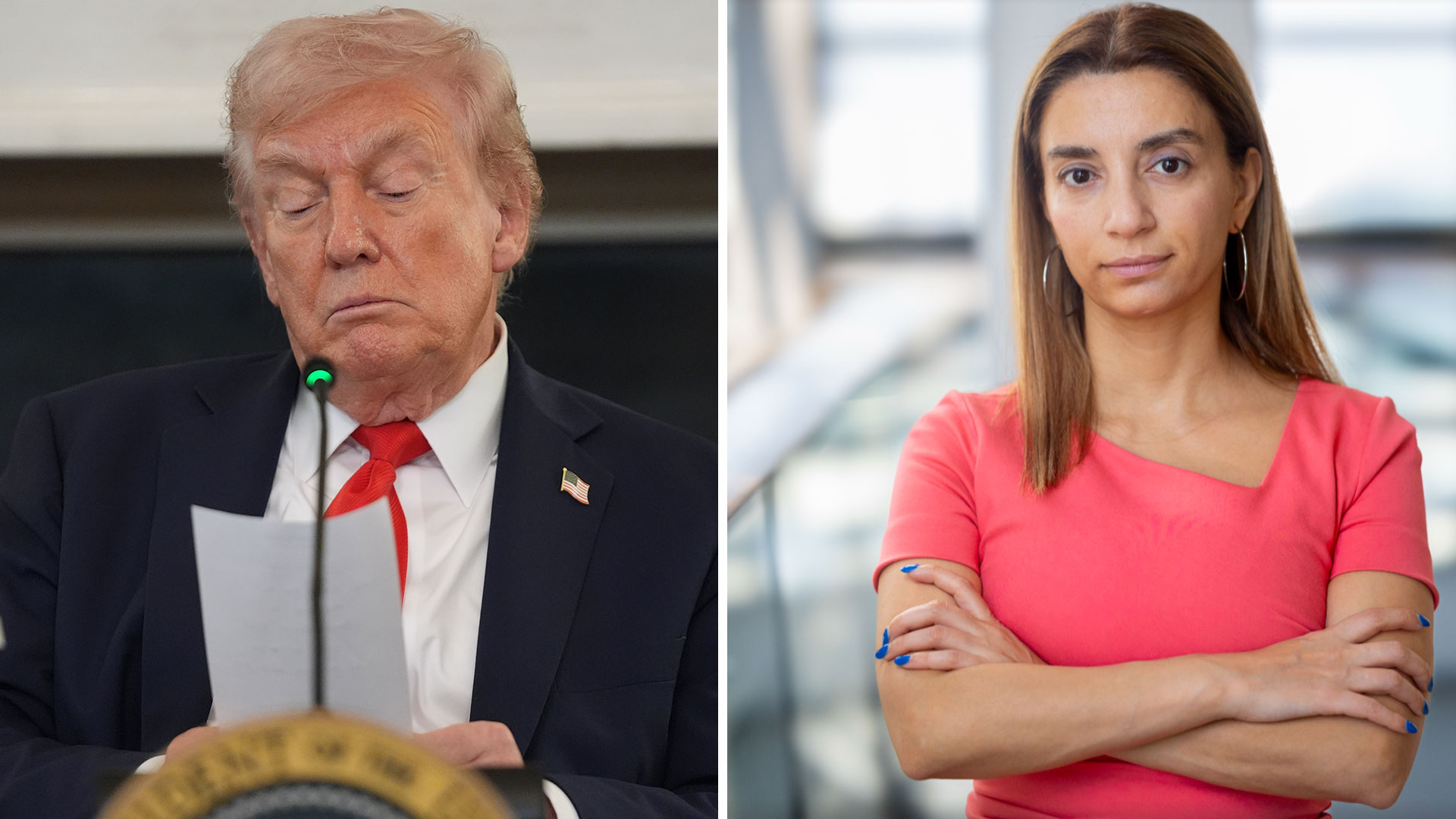 Evin Incir tycker att Donald Trumps fredsplan är bristfällig