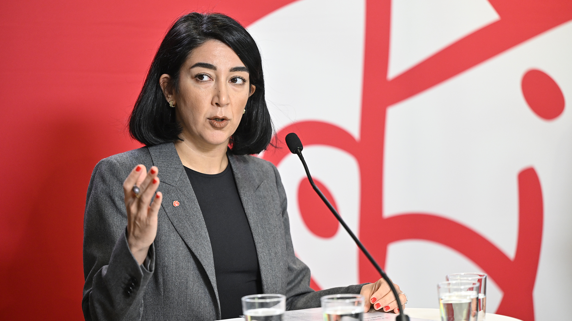 Lawen Redar sågar kulturkanon: ”Ingen seriös politik”