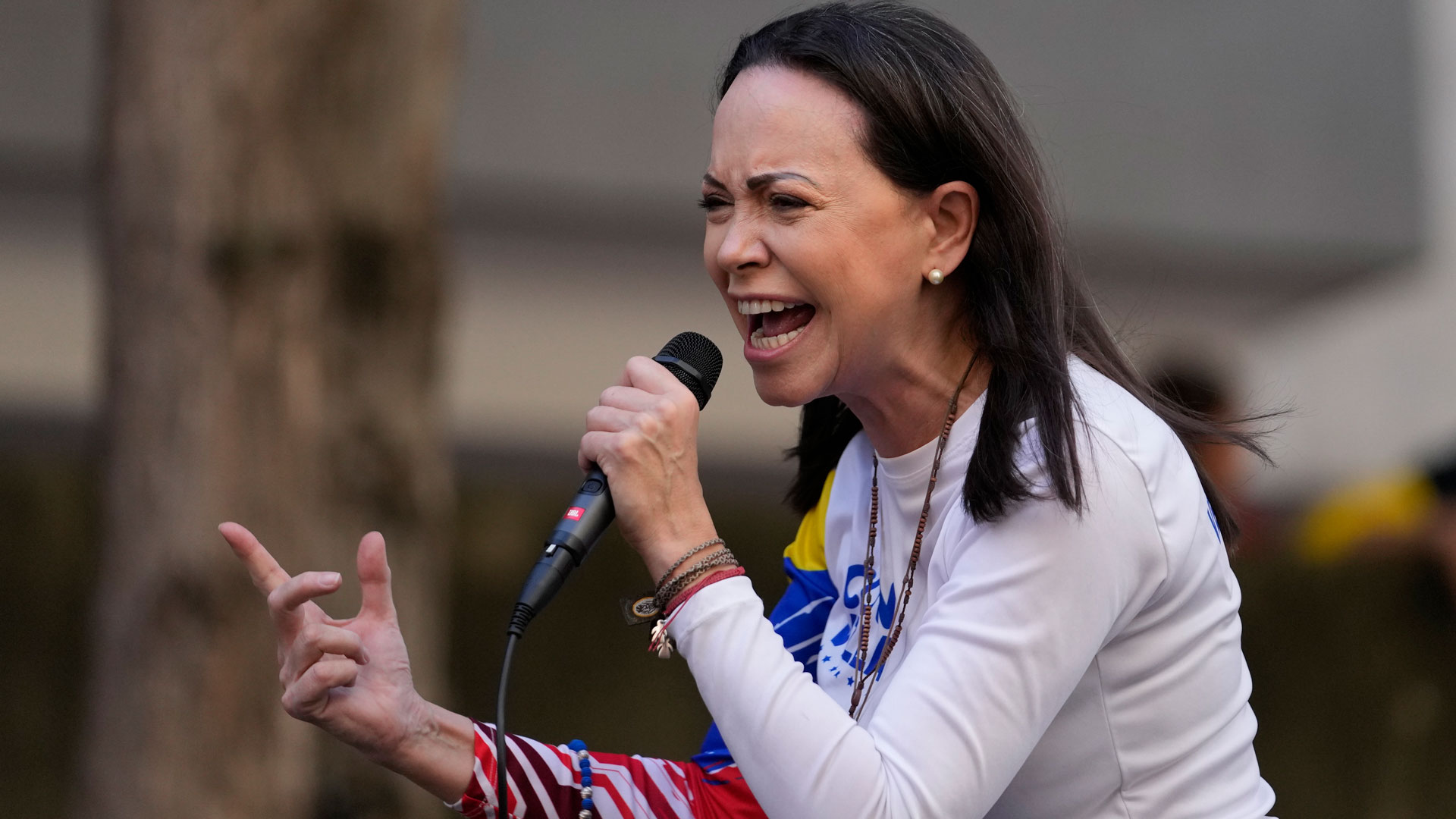 Nobels fredspris 2025: Nu tillkännages pristagaren