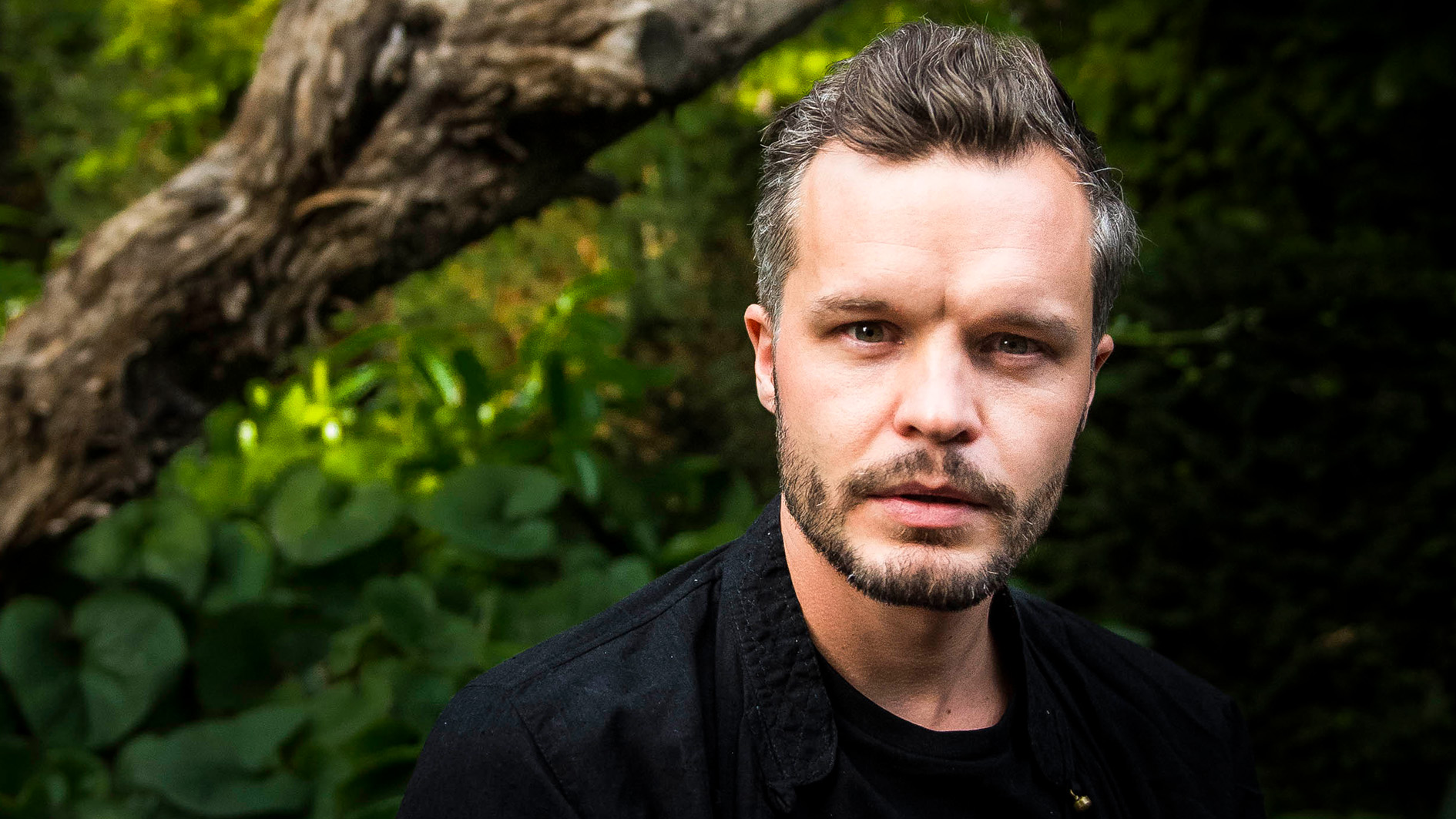 Tallest man on Earths instrument stulna