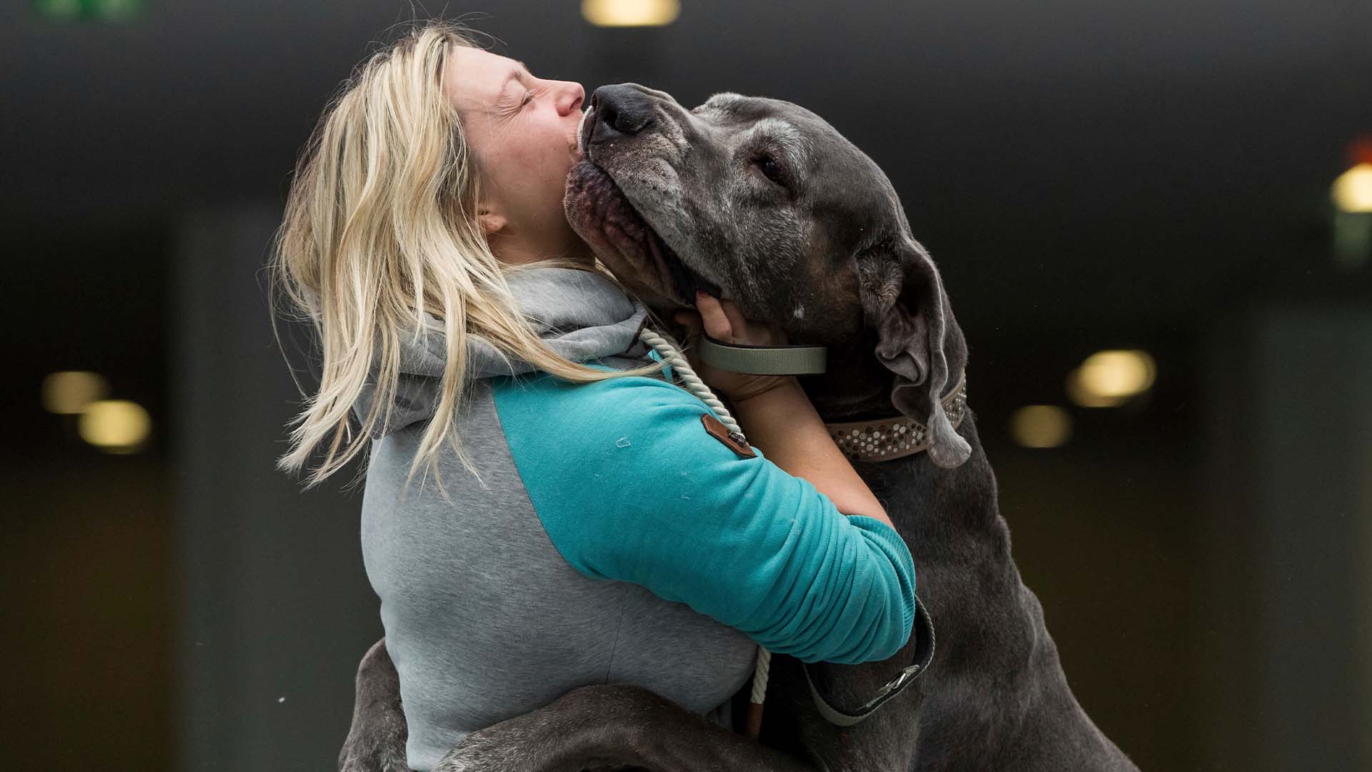 Nu är det vetenskapligt bevisat: Kramar är bra