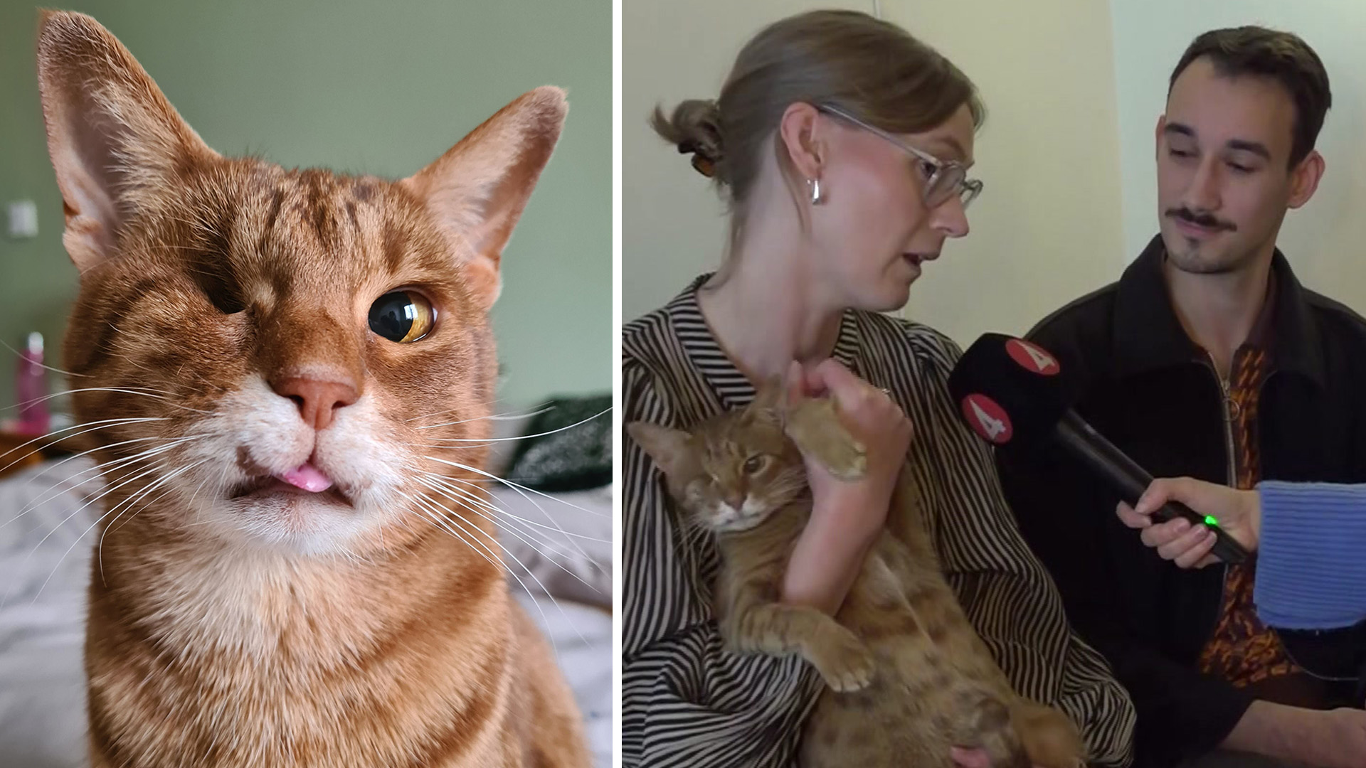 Årets Lussekatt är enögda Selma