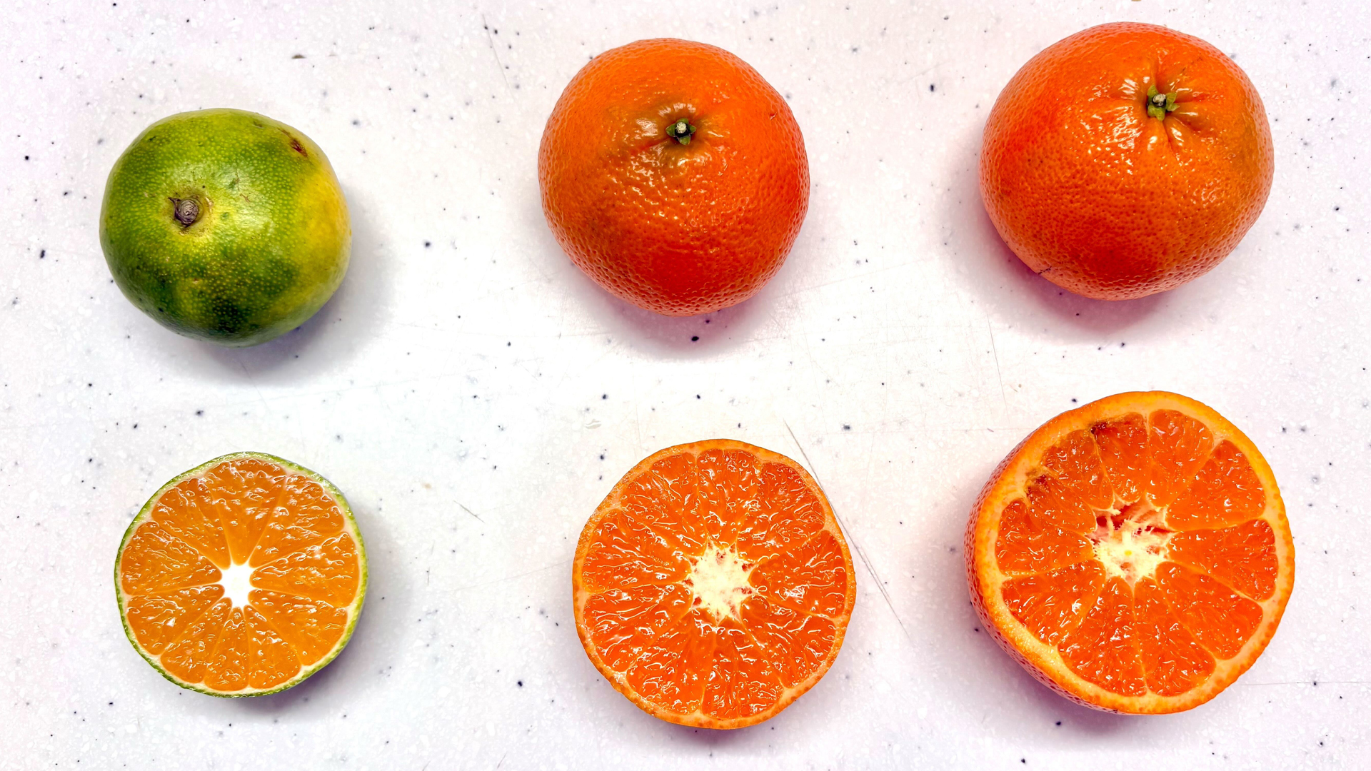 Skillnaden mellan satsumas, clementin och mandarin