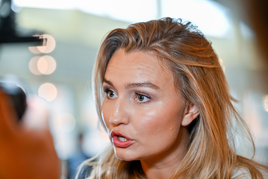 Busch: Inga särlösningar för Stegra