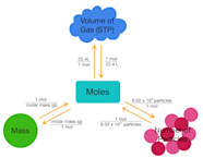 Mole Road Map Study Guide Inspirit