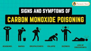 Carbon Monoxide Bonds Study Guide Inspirit Learning Inc