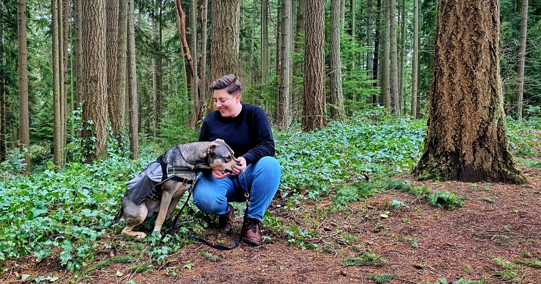 Blog | Page 21 | Aha! software