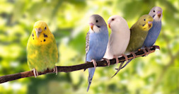 User stories vs. requirements: What is the difference?