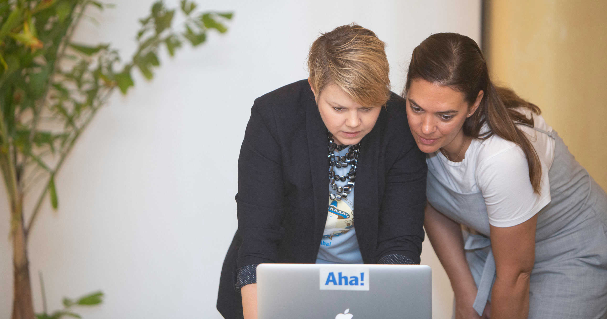 8 Smart Tactics for Understanding Customer Pain Points | Aha! software