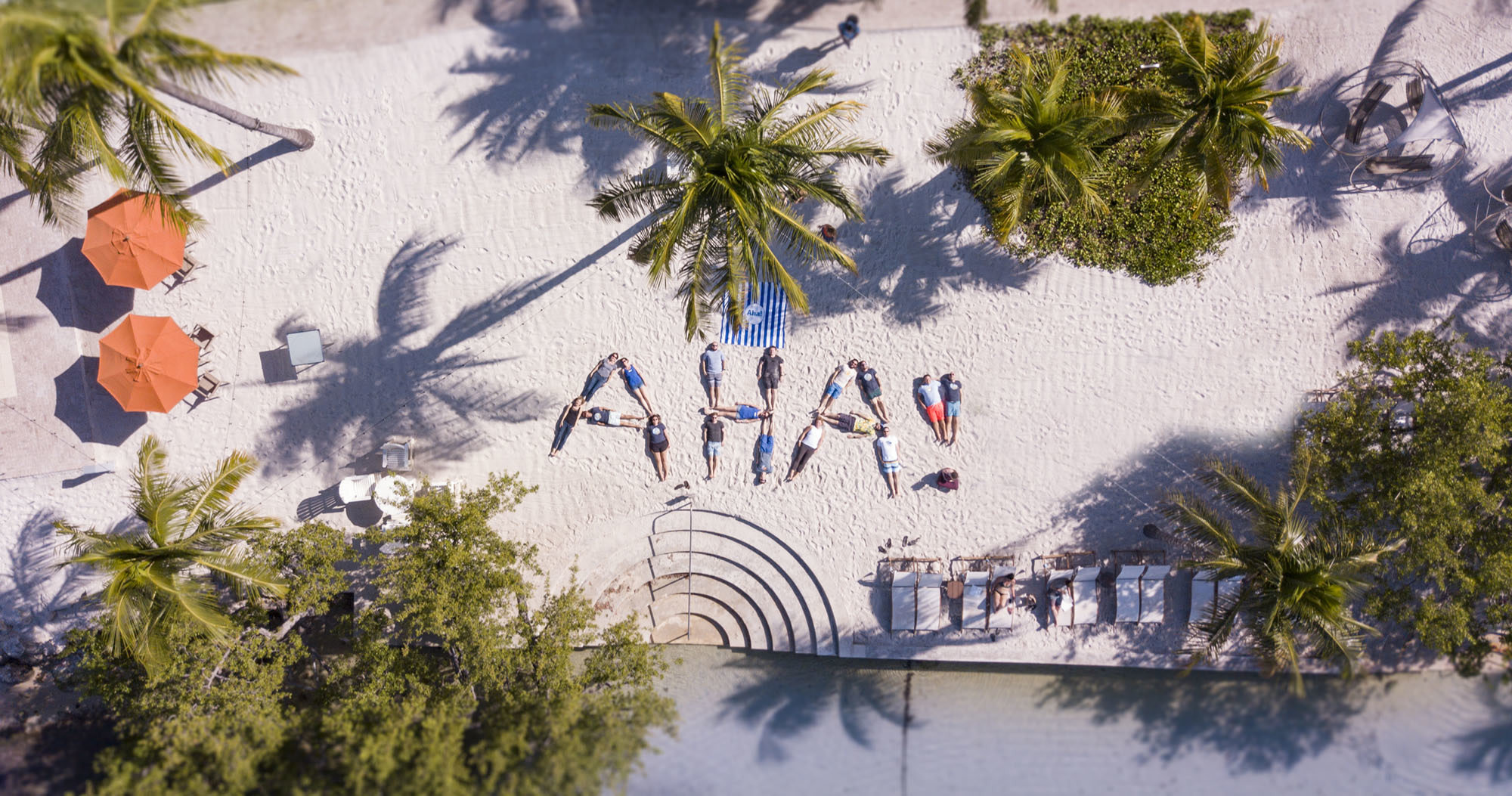 Blog | Page 18 | Aha! software