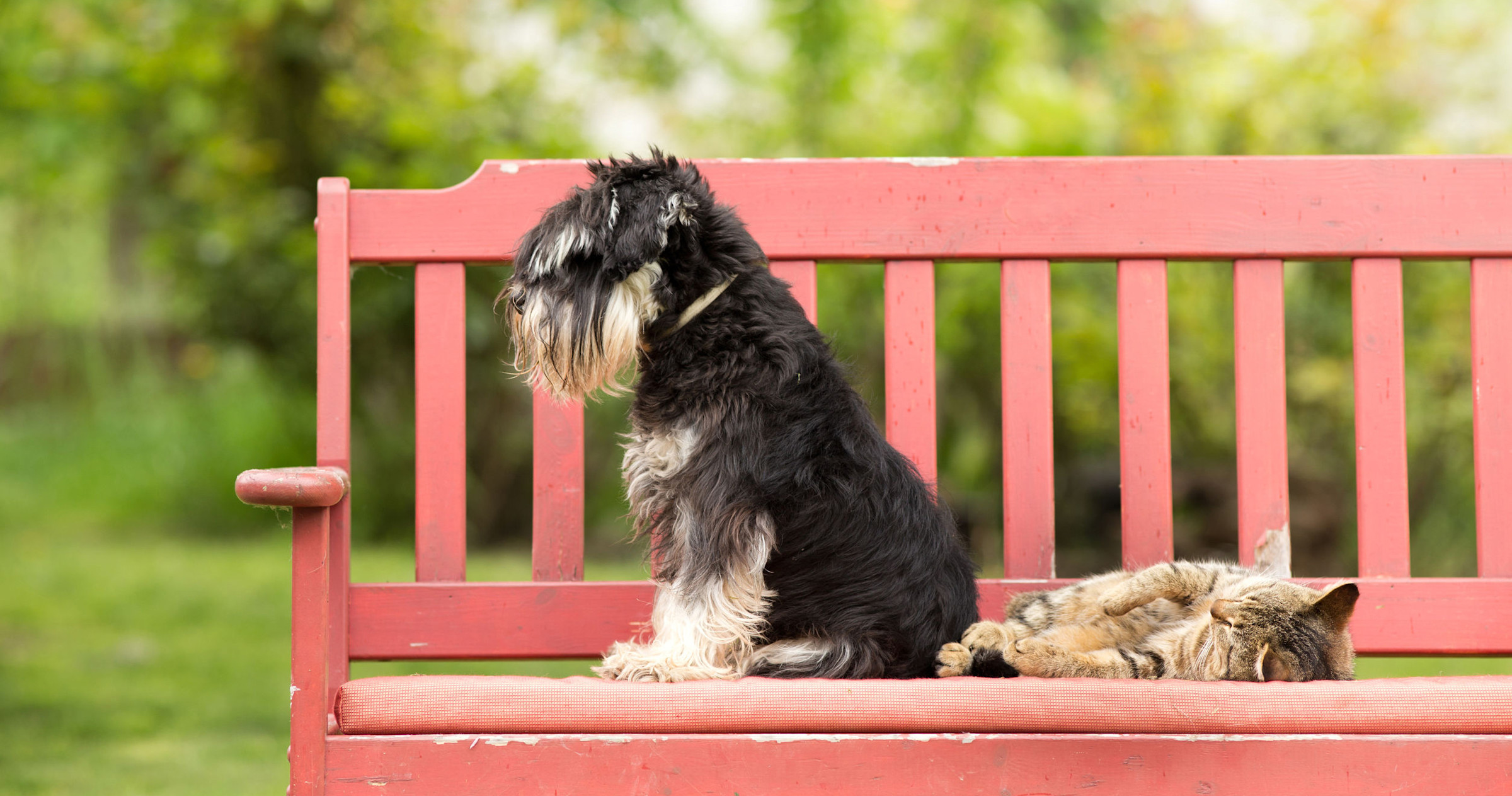 Introducing Dark Mode for Aha! Develop | Aha! software