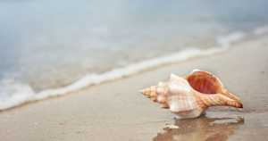 This Is How to Build a Collaborative Text Editor Using Rails | Aha ...