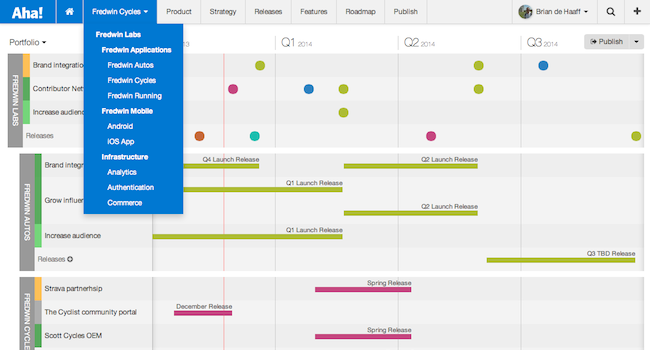 Portfolio roadmap planning — product lines and initiatives | Aha! software