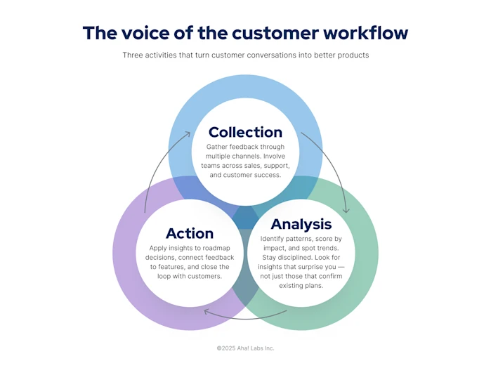 Voice of the Customer Programs: How To Capture and Use Customer Feedback