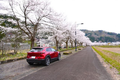 マツダ・CX-30が車検切れしたらどうする？車検を通す方や費用を抑える方法を解説｜Seibii