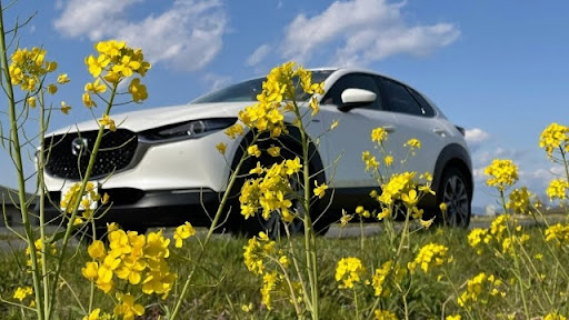 マツダ・CX-30の車検料金はいくら？費用相場や車検費用を安くする方法を紹介！｜Seibii