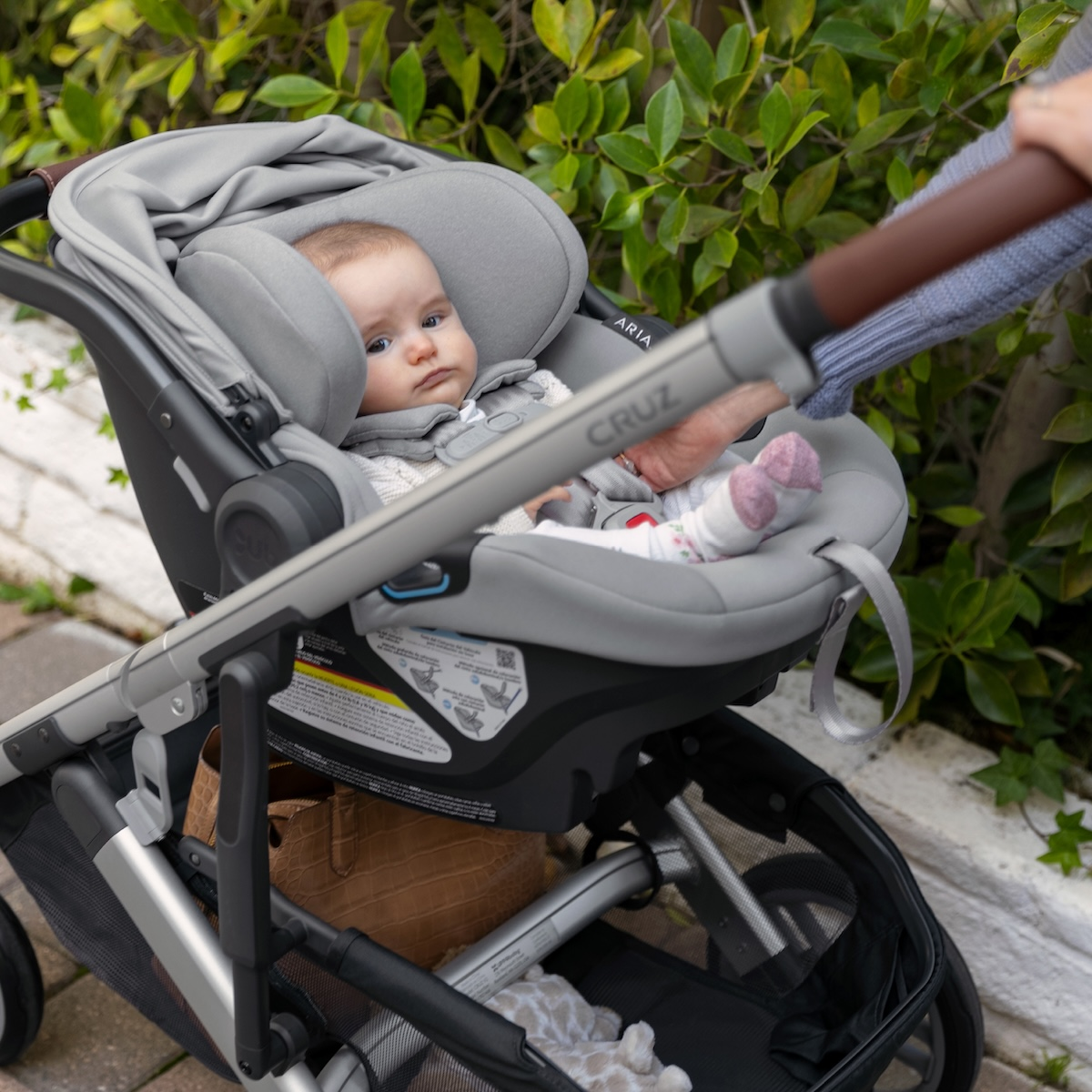 UPPAbaby Cruz V2 Stroller & MESA V2 Infant Car Seat Travel System ...