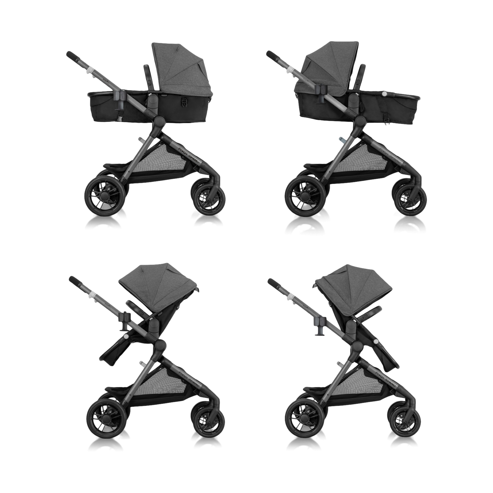 Evenflo Pivot Xpand Modular Stroller - Sabino Gray | Babylist Shop
